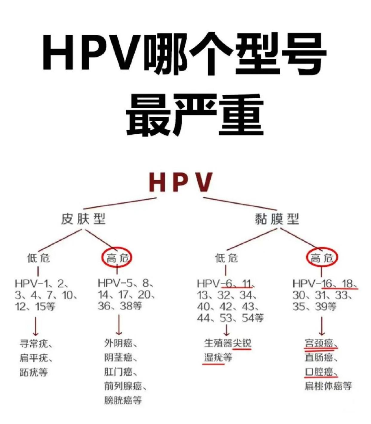 HPV感染别慌！