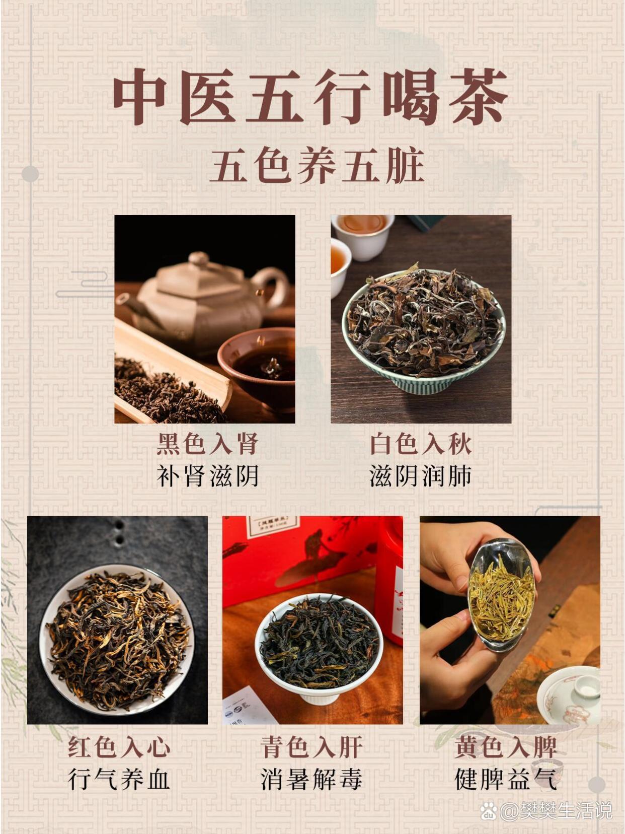 五色养生|中医五行喝茶🍵滋养健康五脏