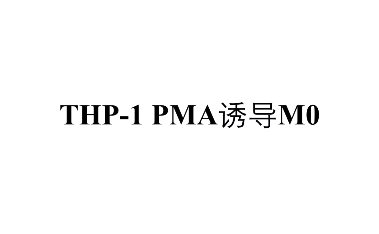 THP-1细胞PMA诱导M0实验步骤详解