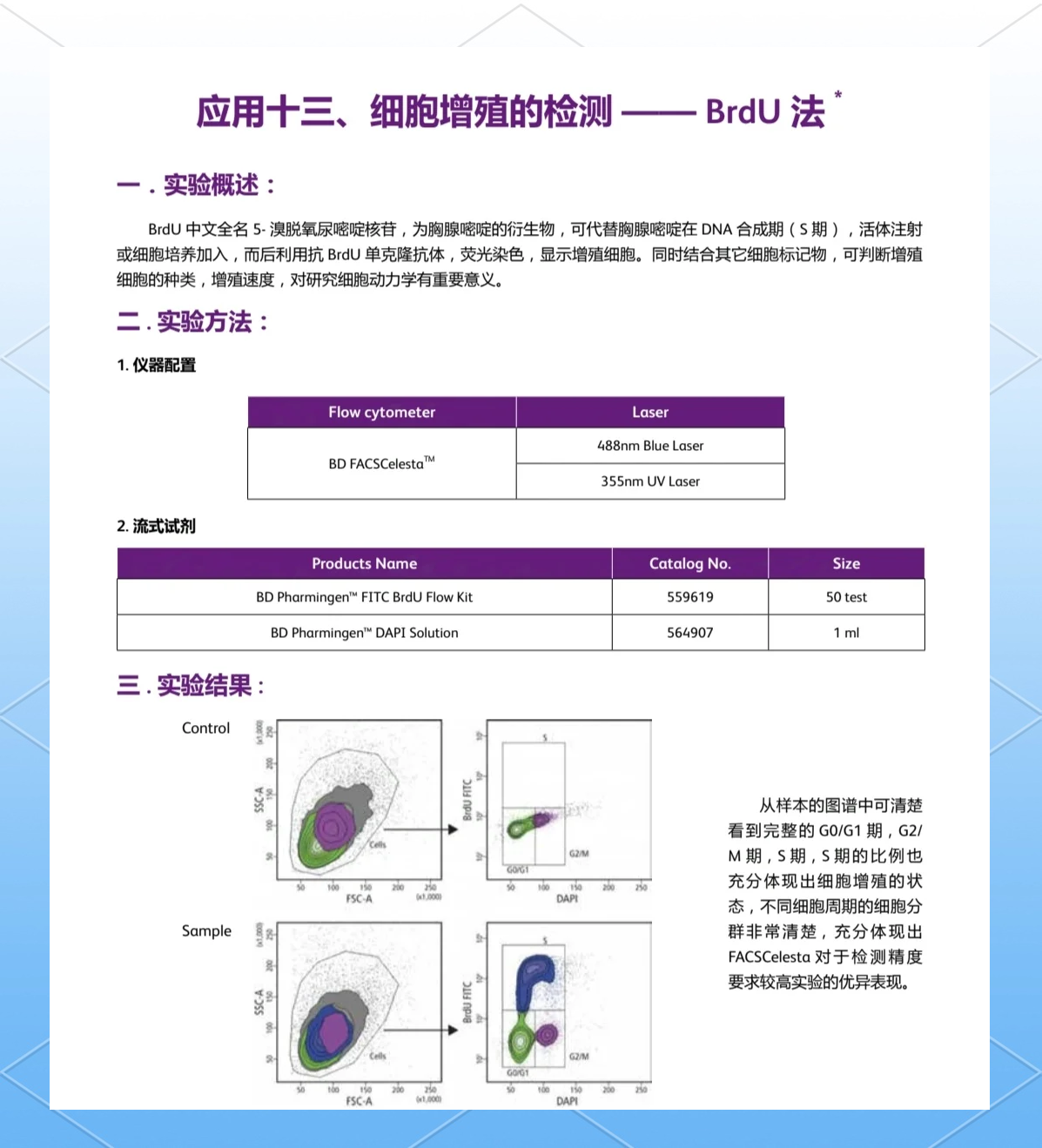 细胞增殖检测：BrdU法的原理与应用