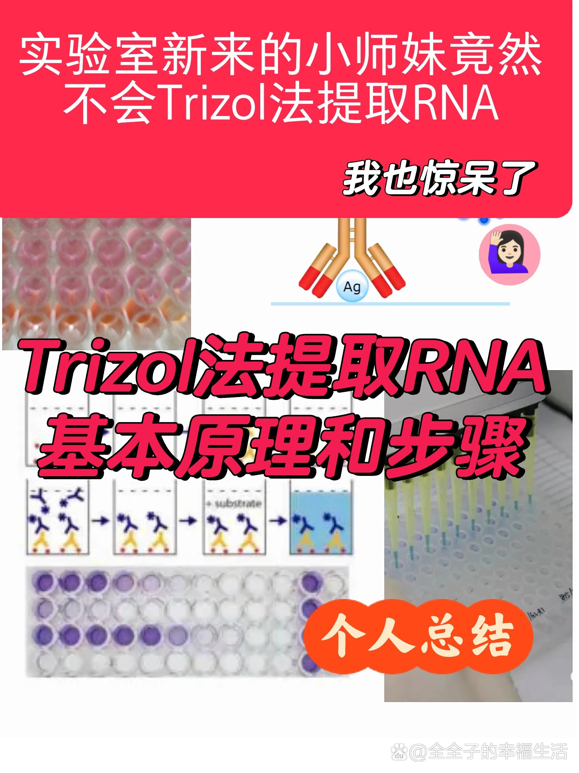 Trizol法提取RNA的基本原理和步骤