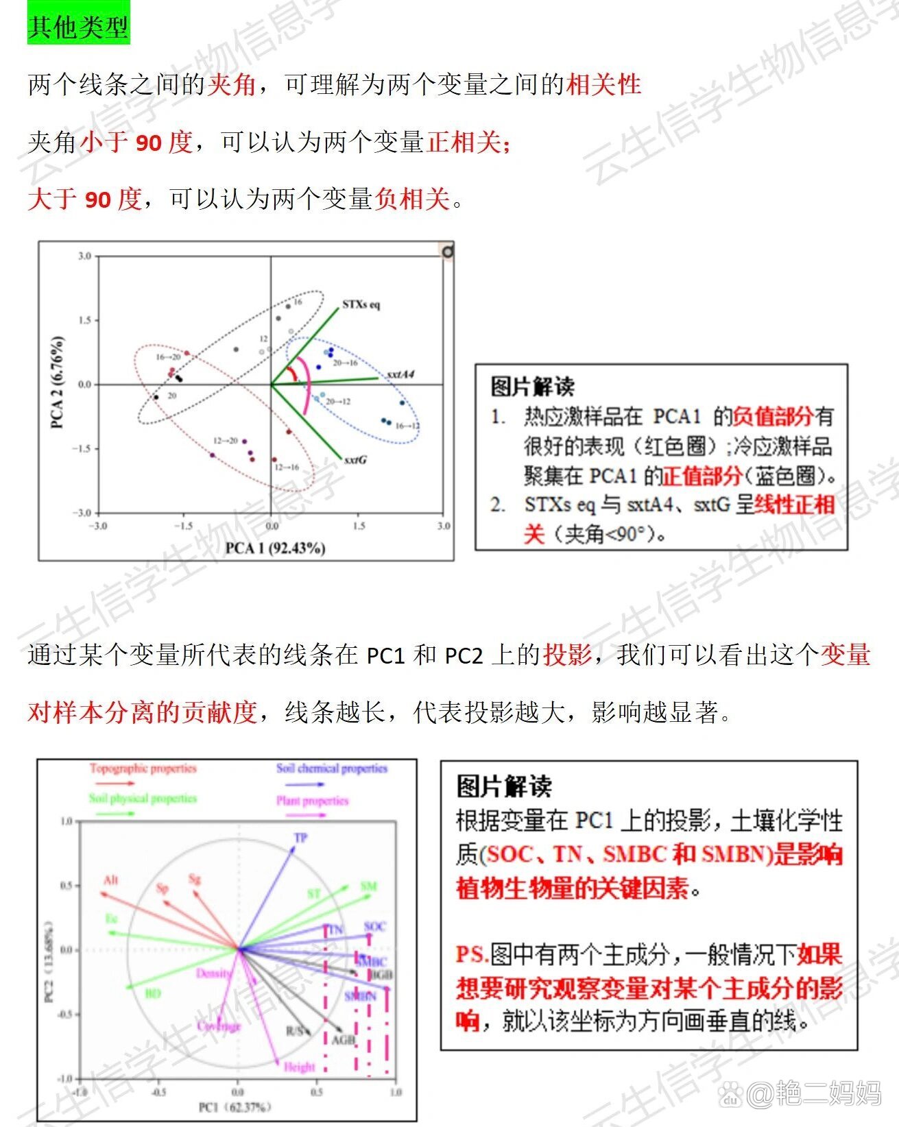 PCA图 看这一篇就够了‼️吐血整理