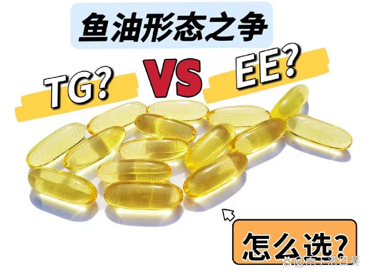 TG型、rTG型和EE型鱼油笔记与如何选鱼油？