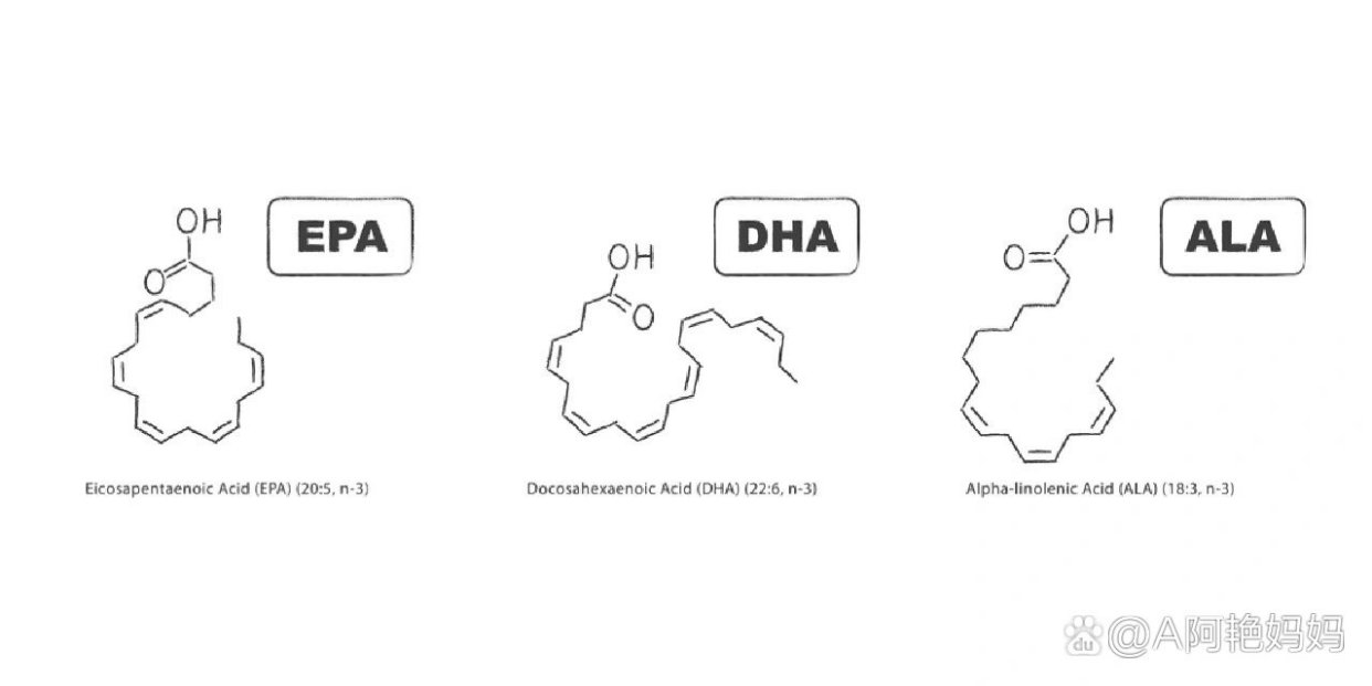 如何提高ALA向EPA和DHA的转化率