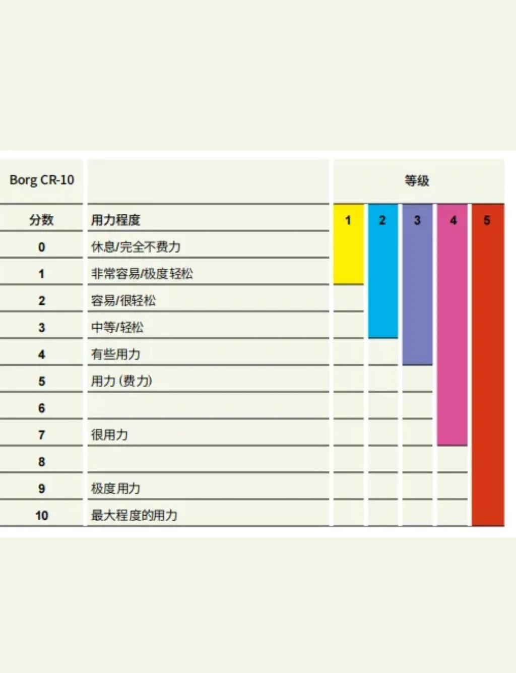 运动恢复指南：循序渐进的恢复方法