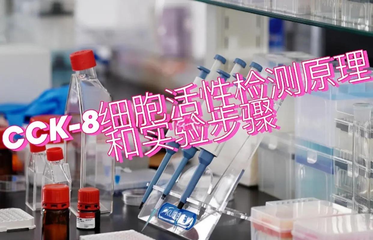 细胞活性检测全攻略：CCK-8法详解