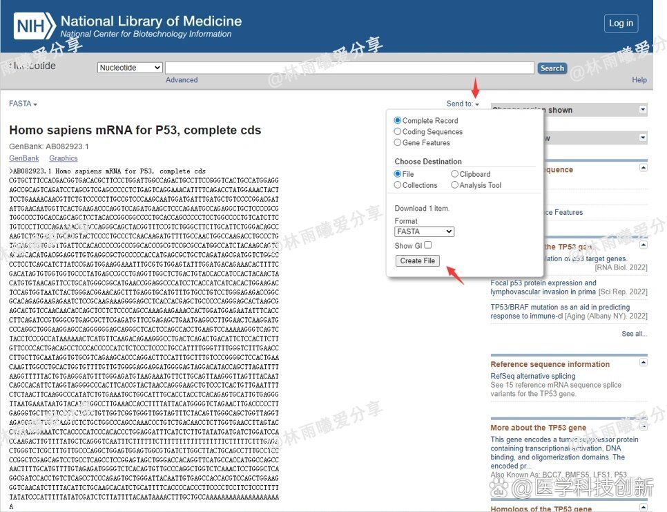 如何在NCBI查询基因序列