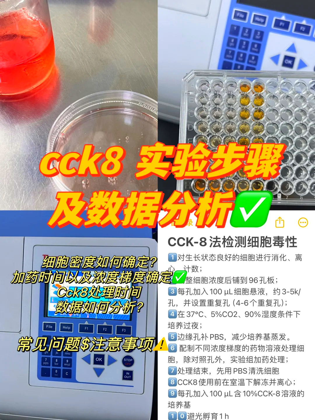 CCK-8细胞毒性实验全攻略🧪