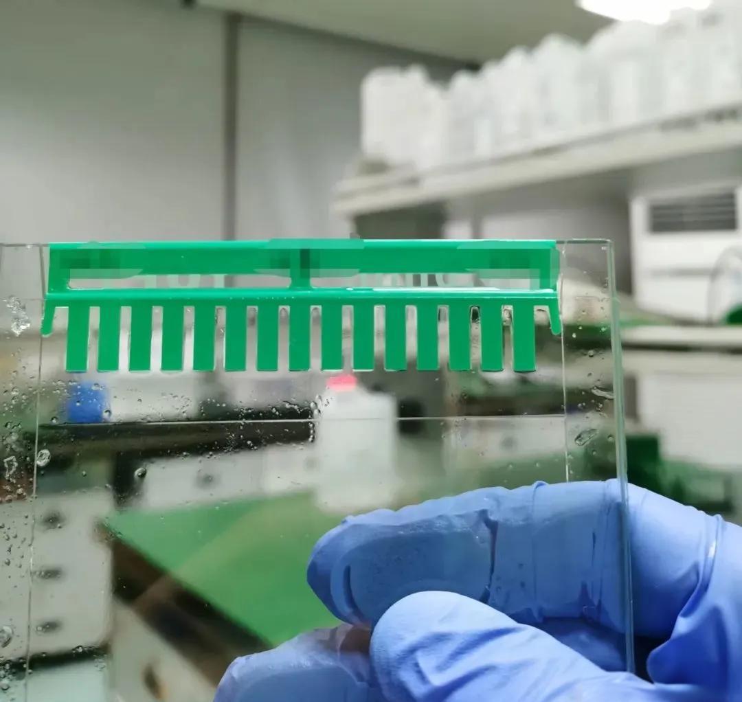 WB制胶秘籍，实验更清晰！