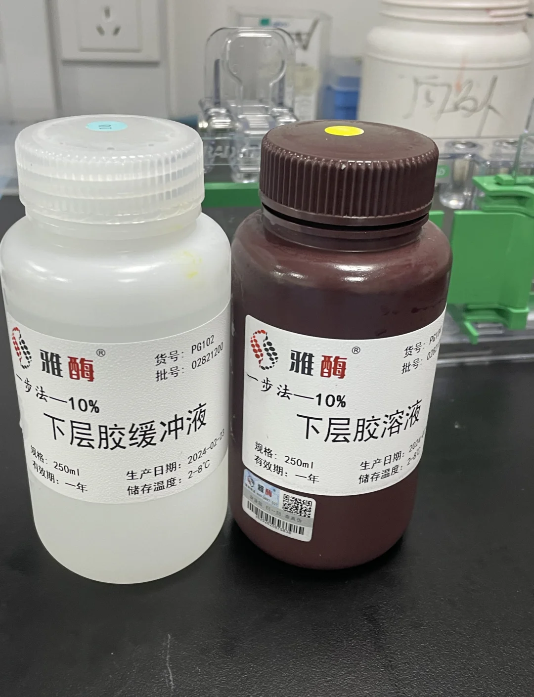 🧪WB实验：制胶全流程详解