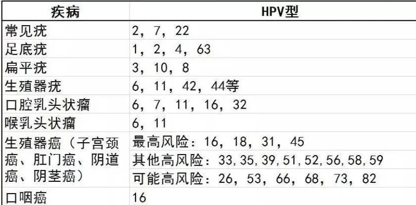 HPV类型与疾病对照表，看看你属于哪种？