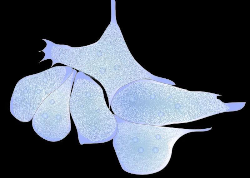 HEK293F悬浮细胞复苏全流程详解