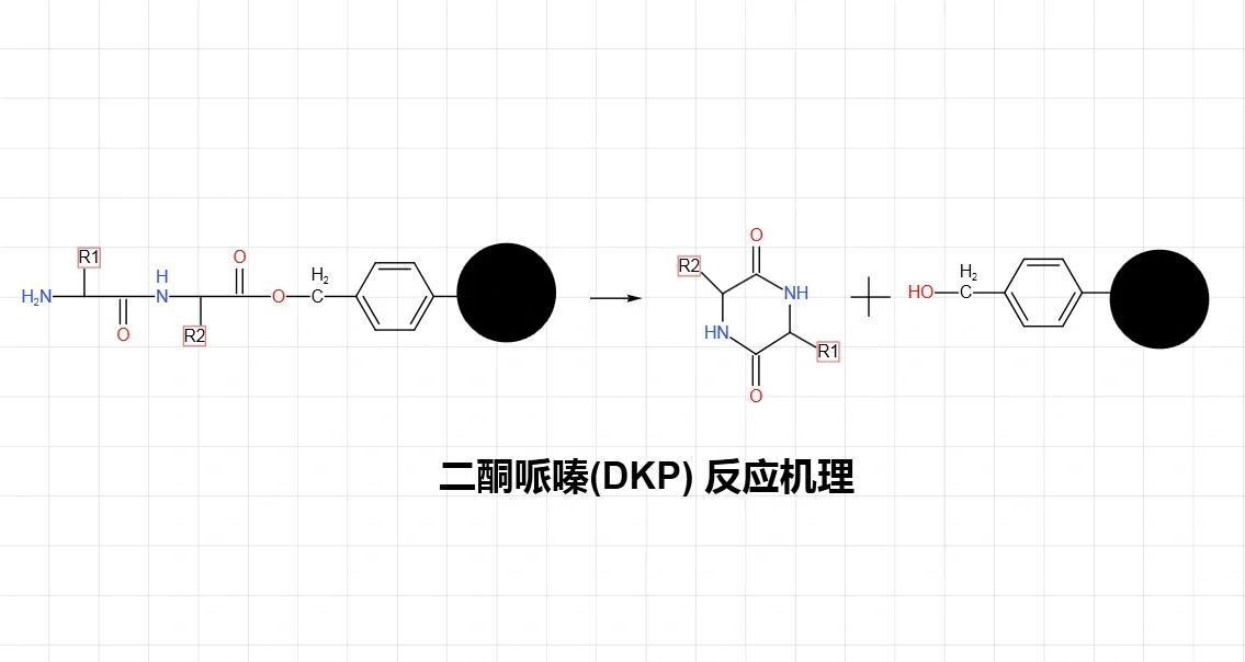 多肽合成中二酮哌嗪(DKP)反应详解