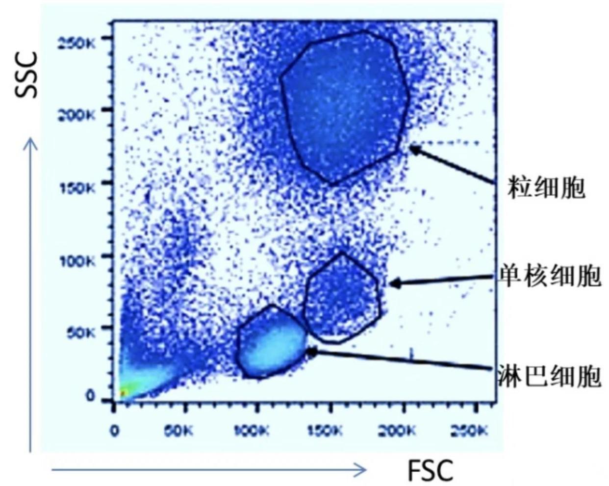 🔬FSC与SSC在细胞分析中的奥秘