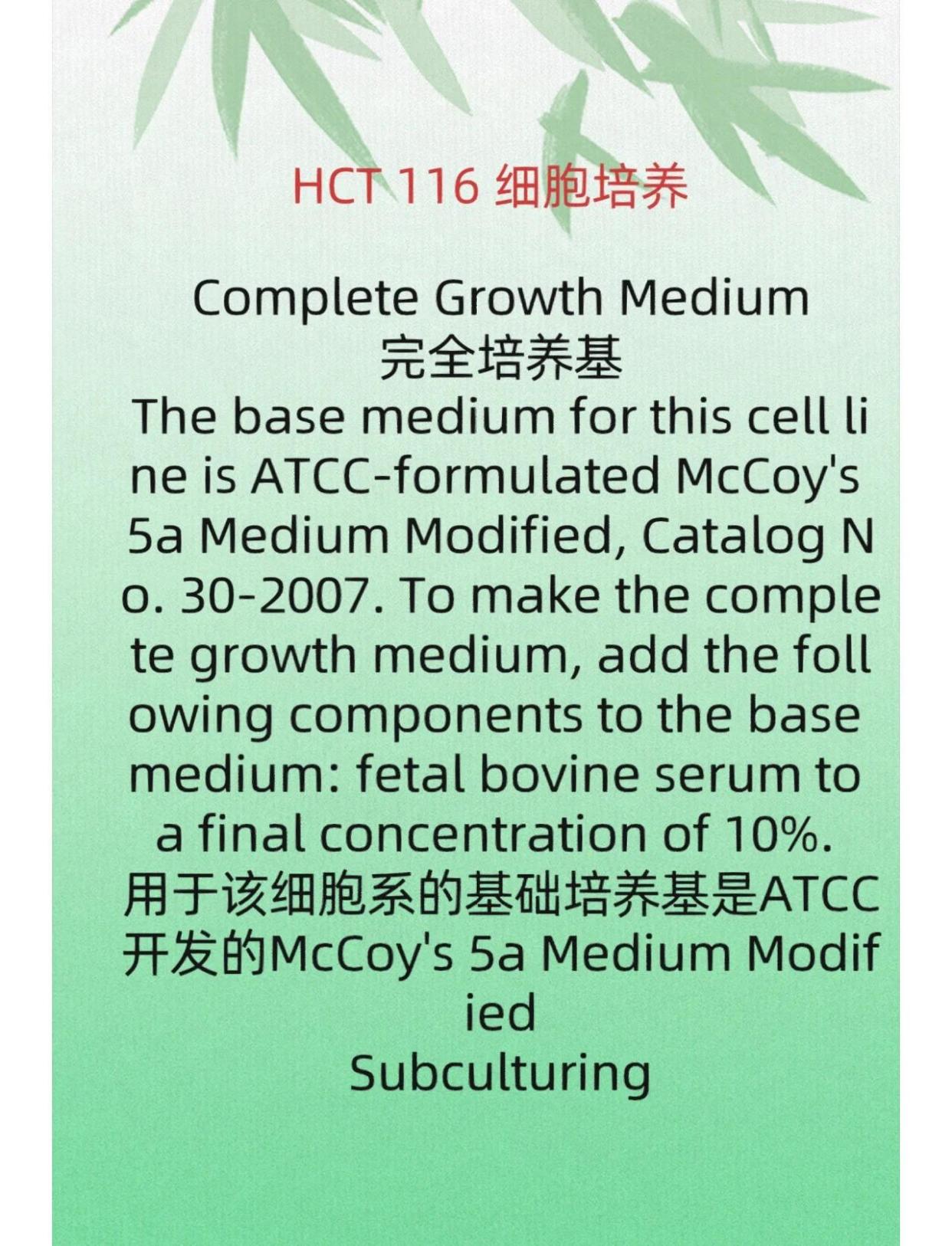 HCT116细胞培养全攻略
