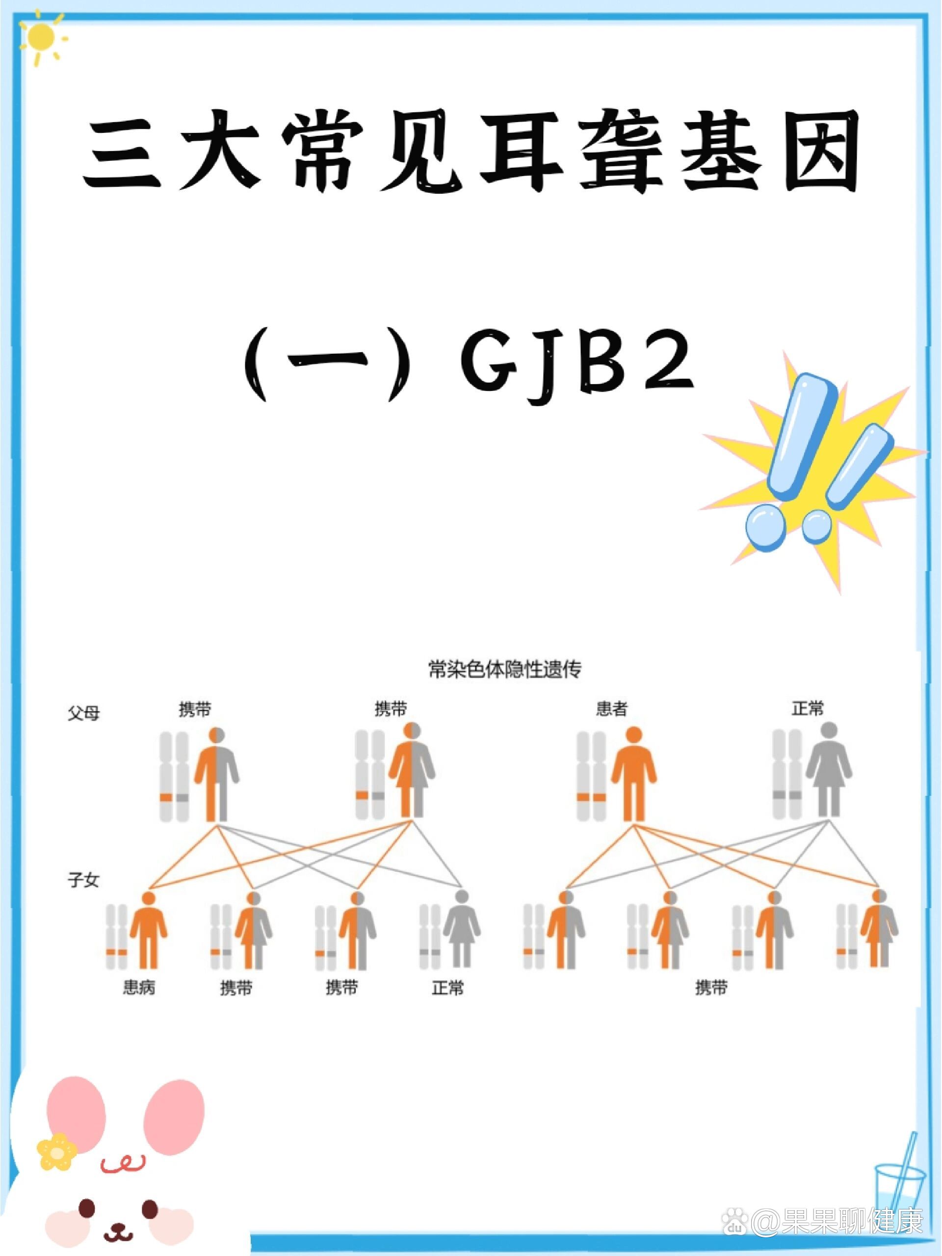 常见耳聋基因——GJB2