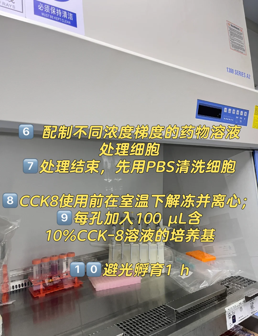 CCK-8细胞毒性实验全攻略🧪