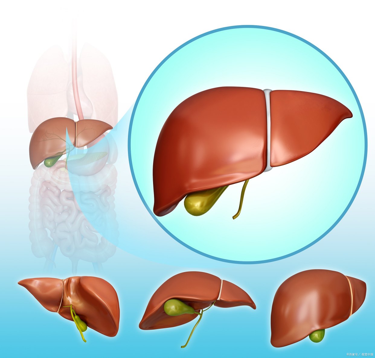 肝动脉栓塞（TAE）和肝动脉栓塞化疗（TACE）有什么区别？