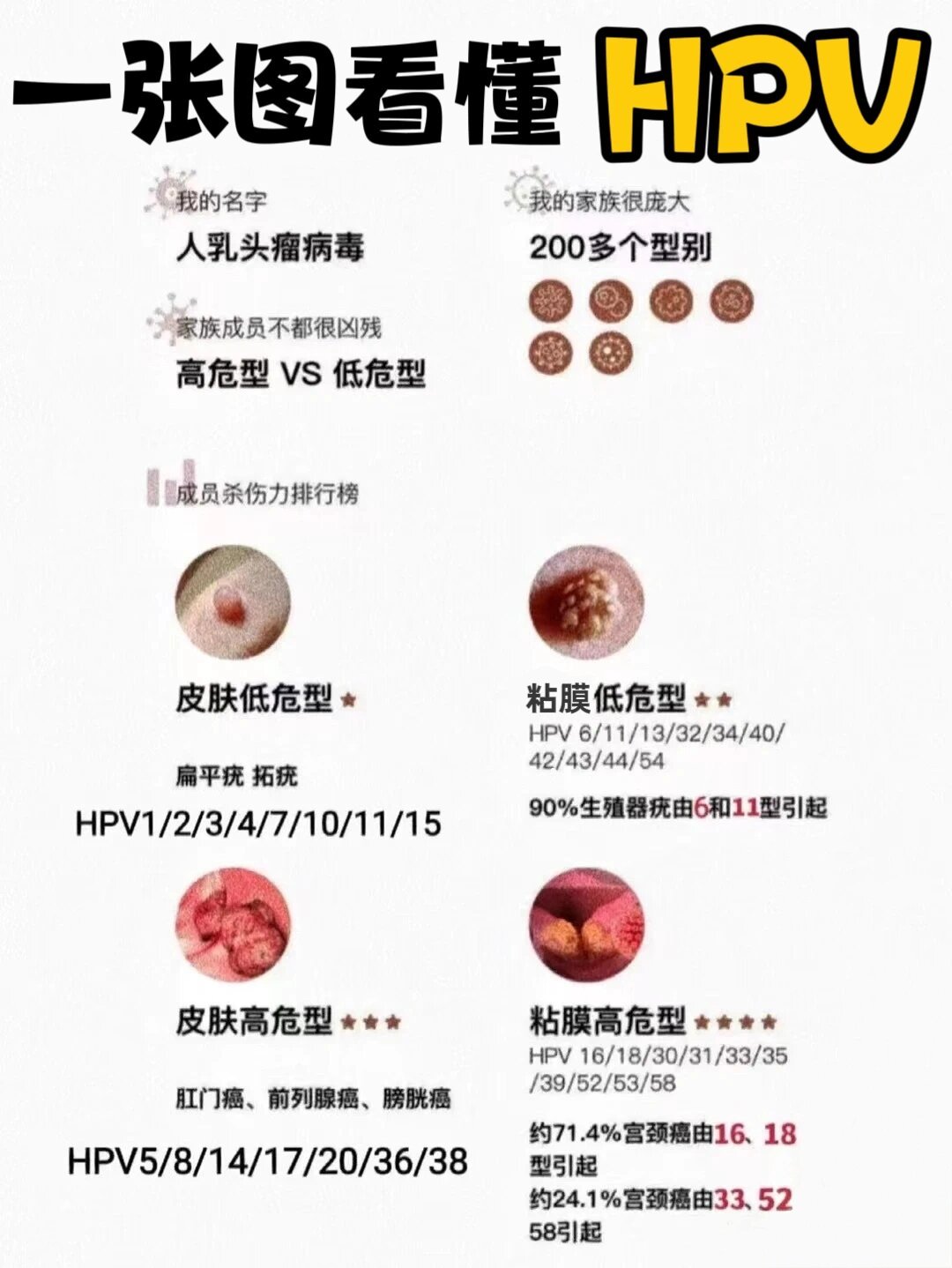 一张图看懂HPV！