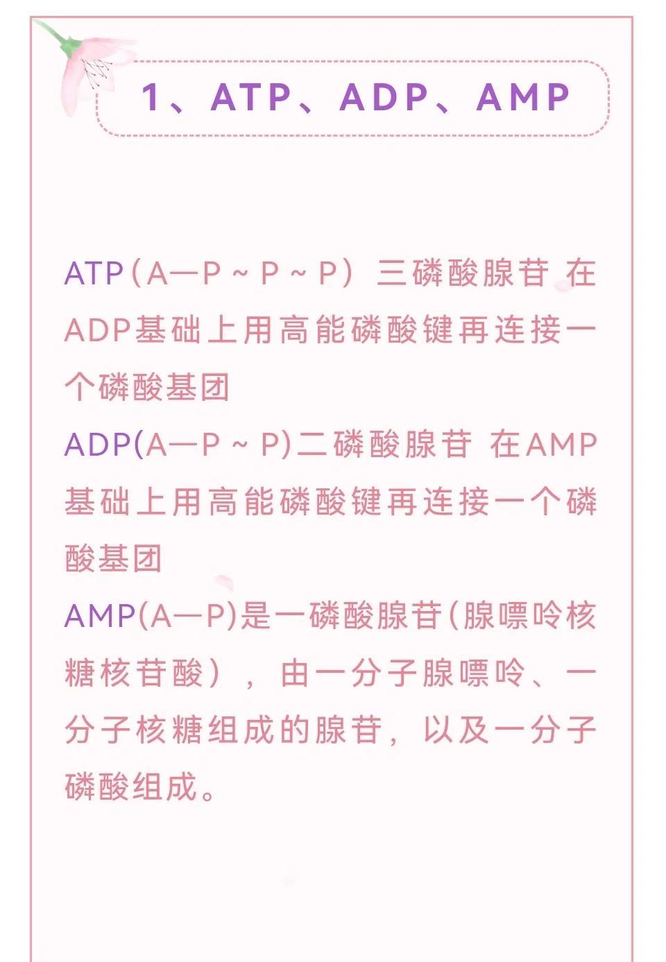dNTP详解🔍，DNA合成关键
