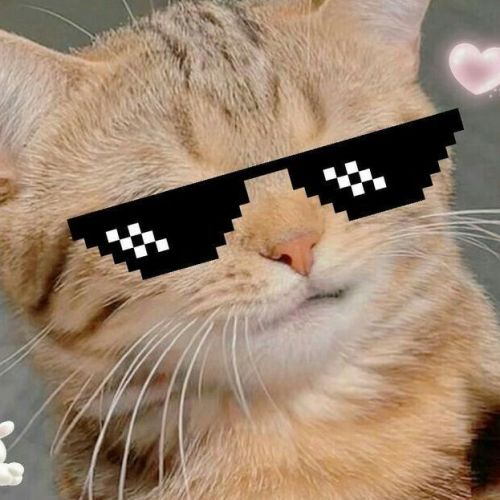 Labrafac MC 60与Labrasol：口服药物吸收促进剂的增效研究