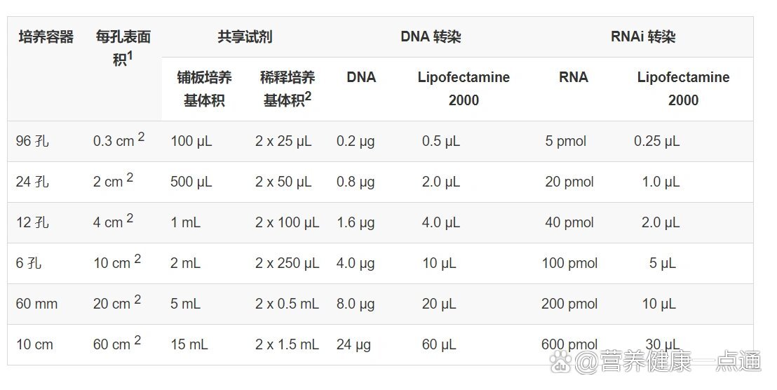 lipo2000转染方案