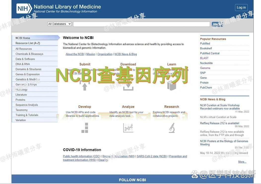 如何在NCBI查询基因序列