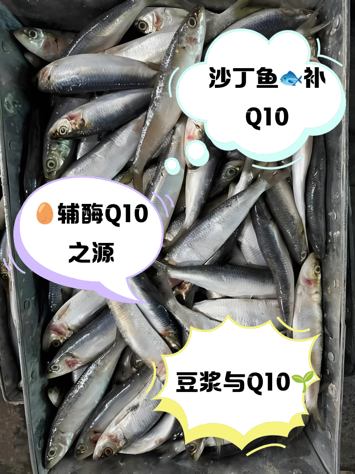 含辅酶q10最多的食物排行榜