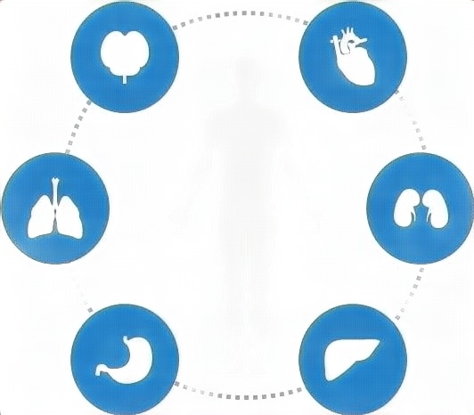 低强度脉冲式超声波（LIPUS），治疗慢性前列腺炎的新希望