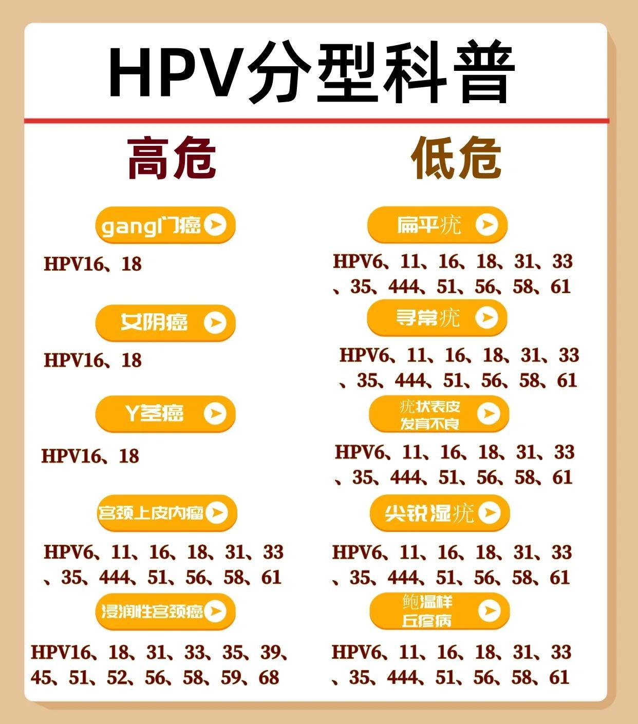 HPV分型自查指南：一分钟了解风险！