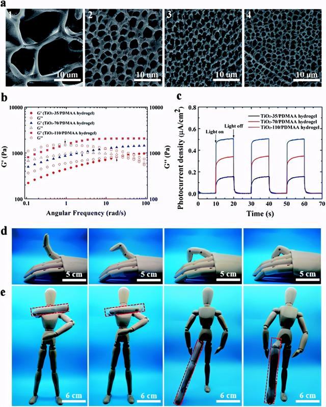 复合水凝胶的自修复性能