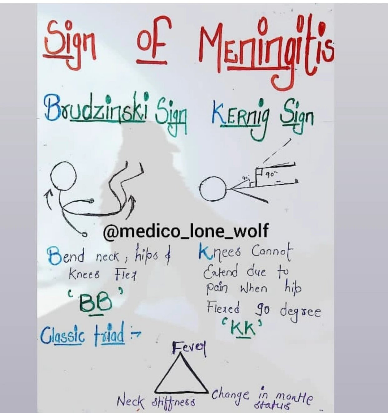 脑膜刺激征（kernig Brudzinski 颈强直）