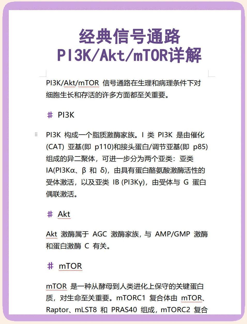 PI3K/Akt/mTOR信号通路详解