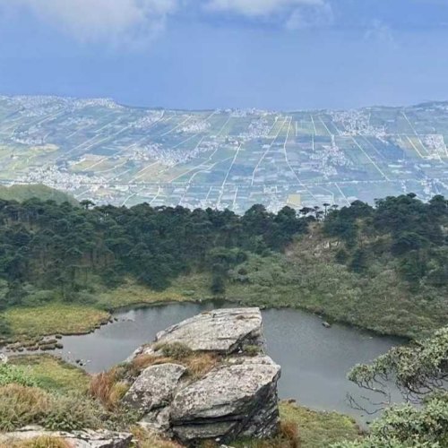 帕金森病治疗新突破：FAM171A2靶点揭示病理传播机制