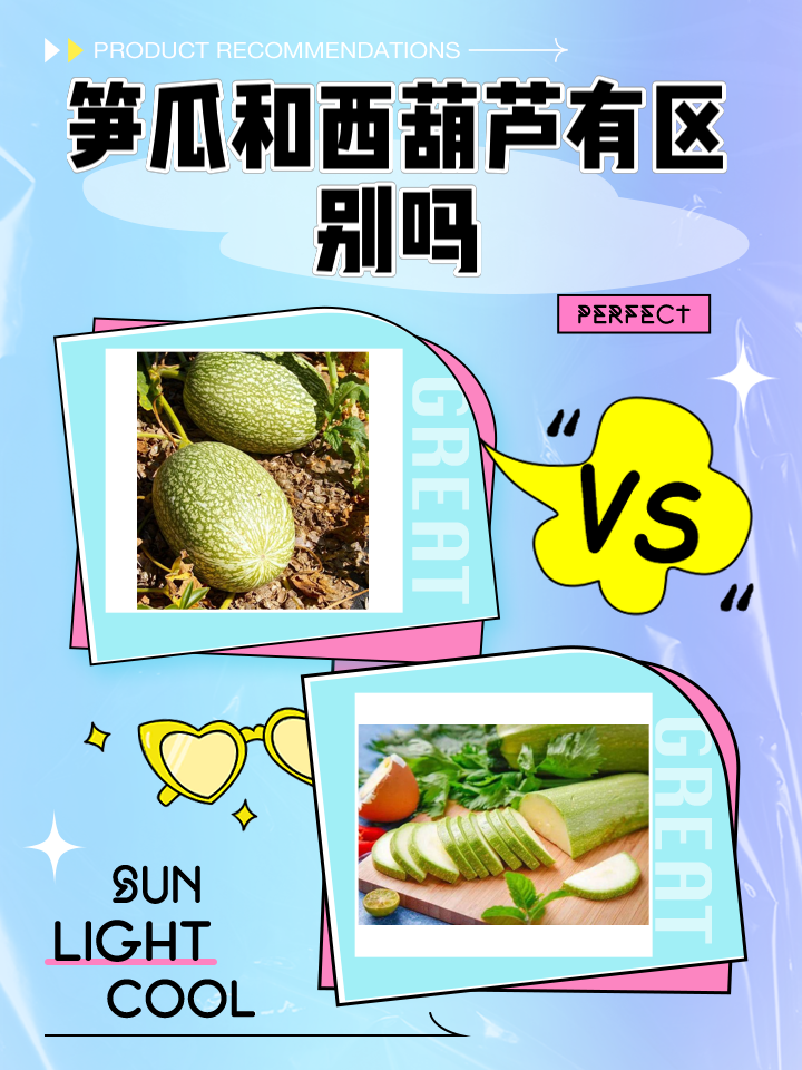 笋瓜和西葫芦有区别吗
