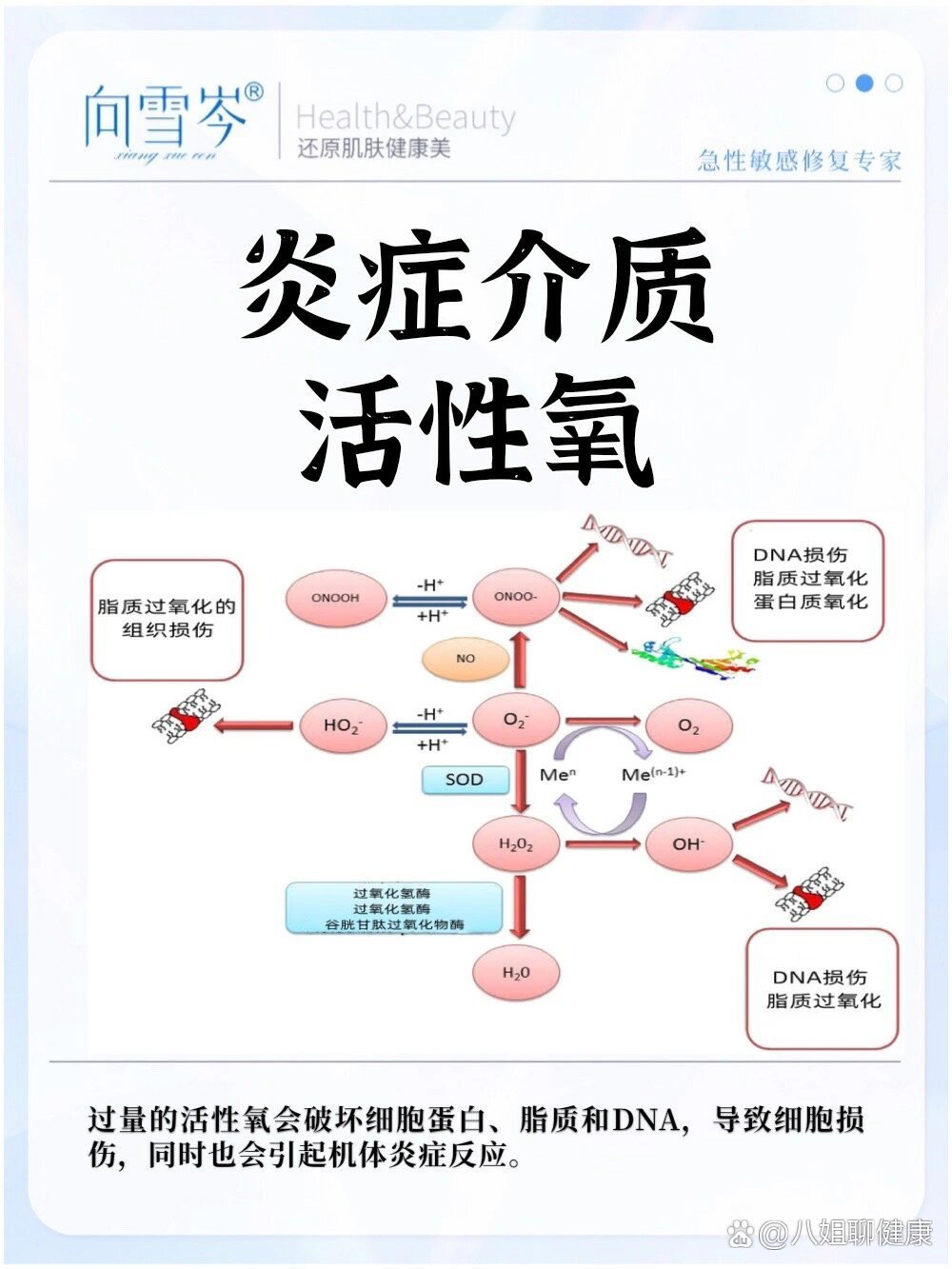 炎症:炎症介质之活性氧（ROS），抗氧化抗炎