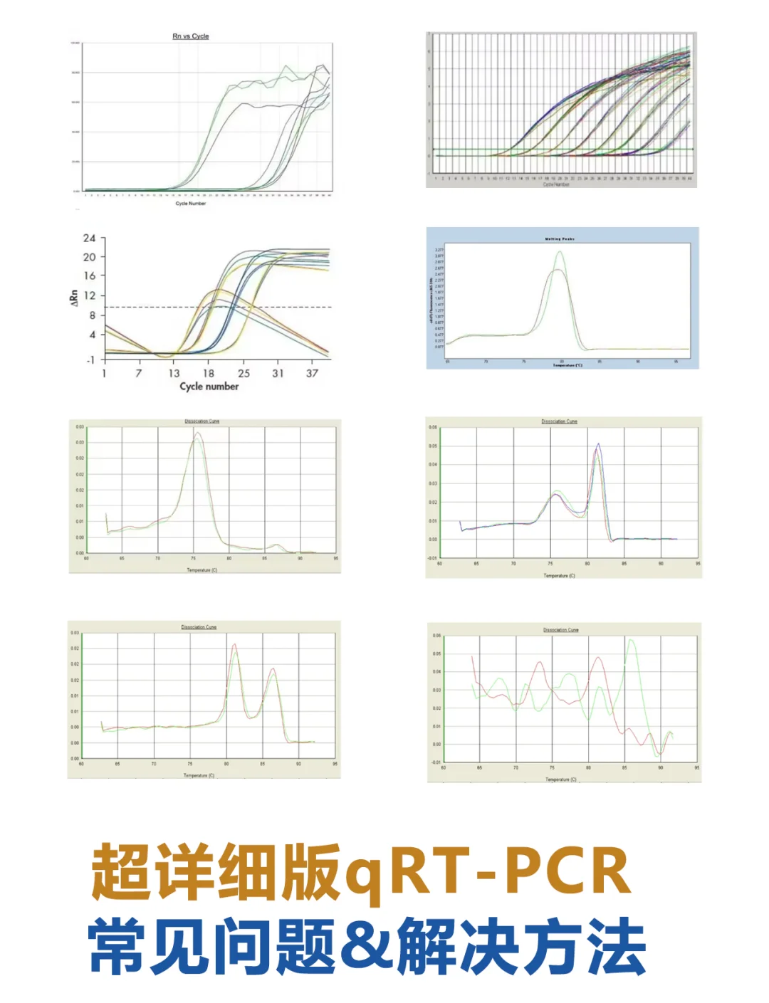 qRT-PCR常见问题及解决方法详解