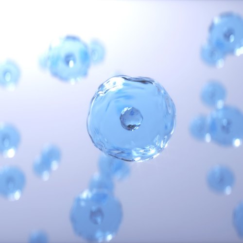 PURECELL与维思克思共启外泌体 “双引擎计划” 携手攻克核心瓶颈