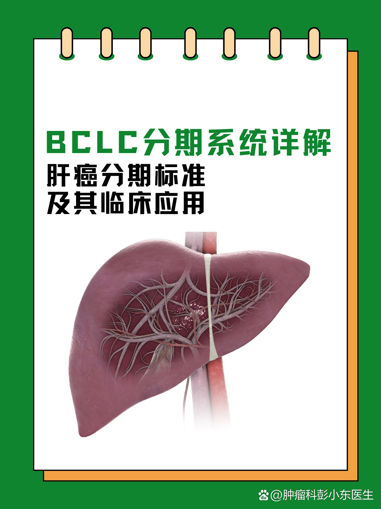 BCLC分期系统详解：肝癌分期标准及临床应用