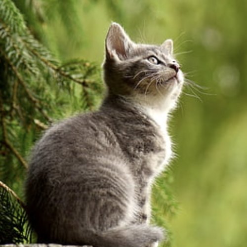 YY/T 0681.15 标准运输部分解读