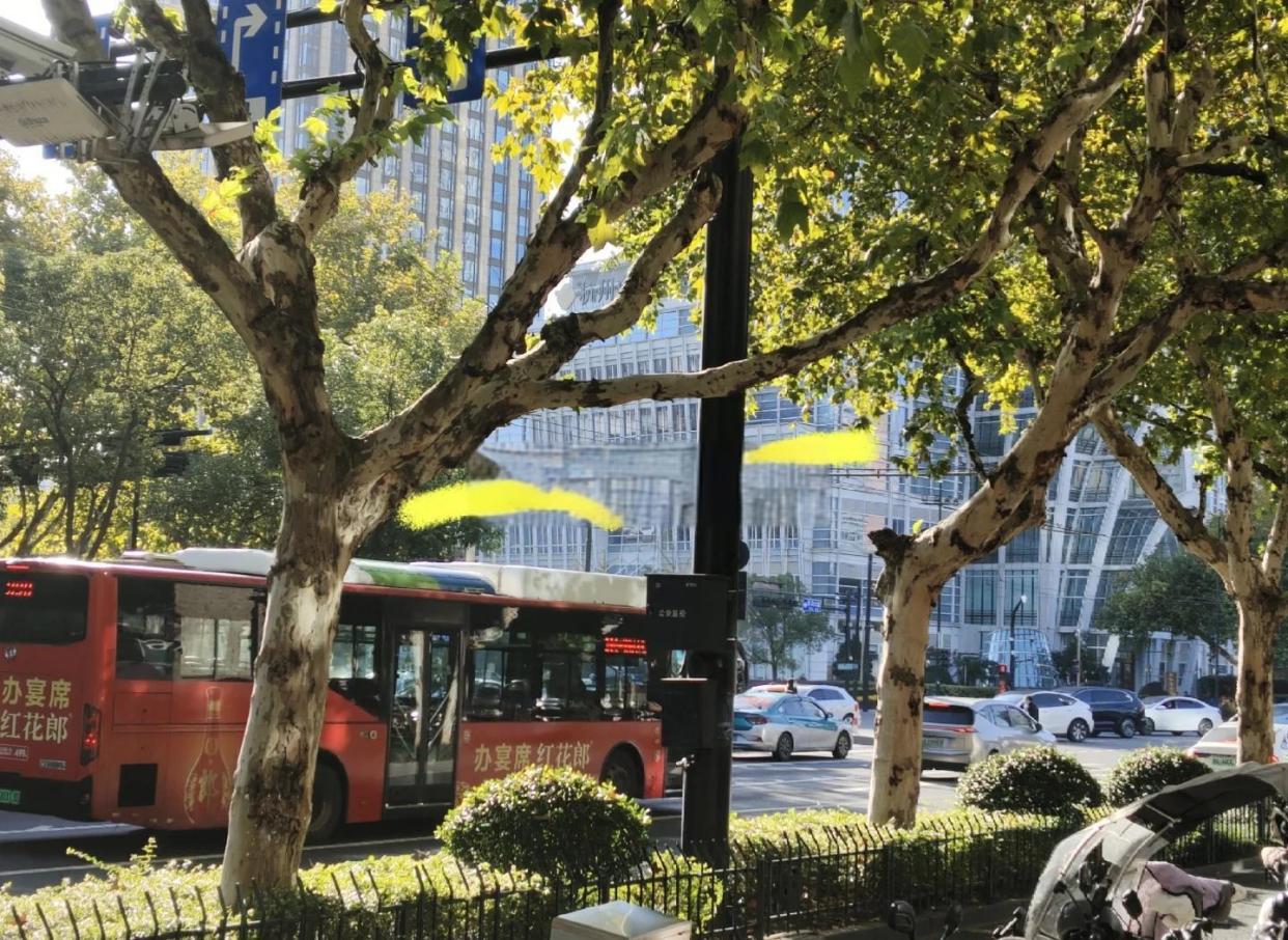 临床试验中的SAE和SUSAR上报指南