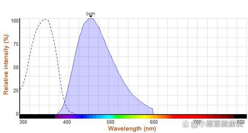 DAPI染色（原理、步骤）